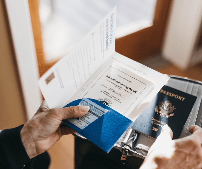 International Driving Permit (IDP) South Korea in 8 Minutes (Apply ...