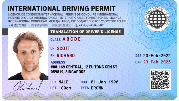 International Driving Permit (IDP) South Korea in 8 Minutes (Apply ...
