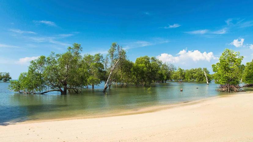 International Driving Permit Mozambique