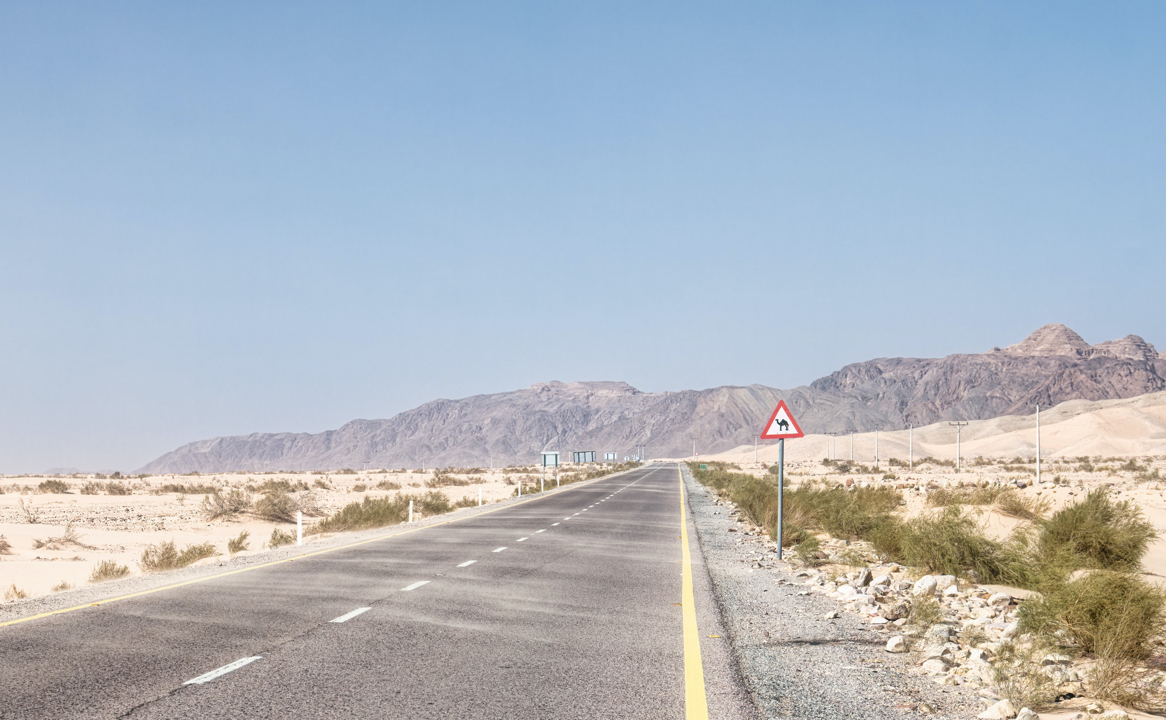 🌏Driving in Jordan 2021 | International Drivers Association